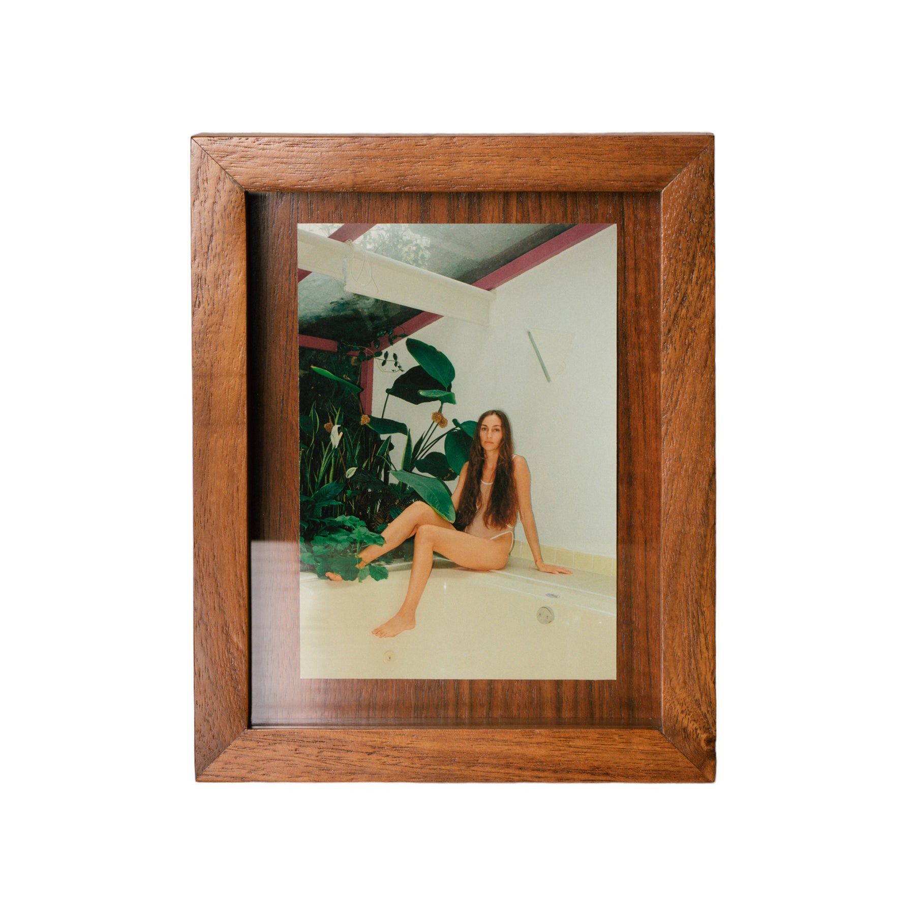 Water your plants – Phamilia